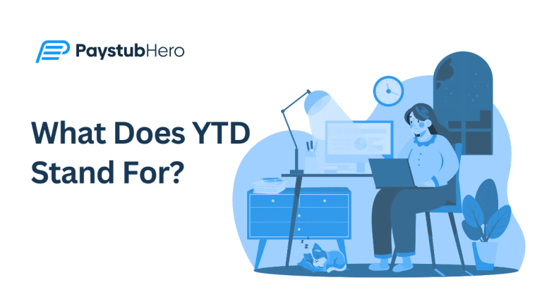 What Does YTD Stand For? - Paystub Hero